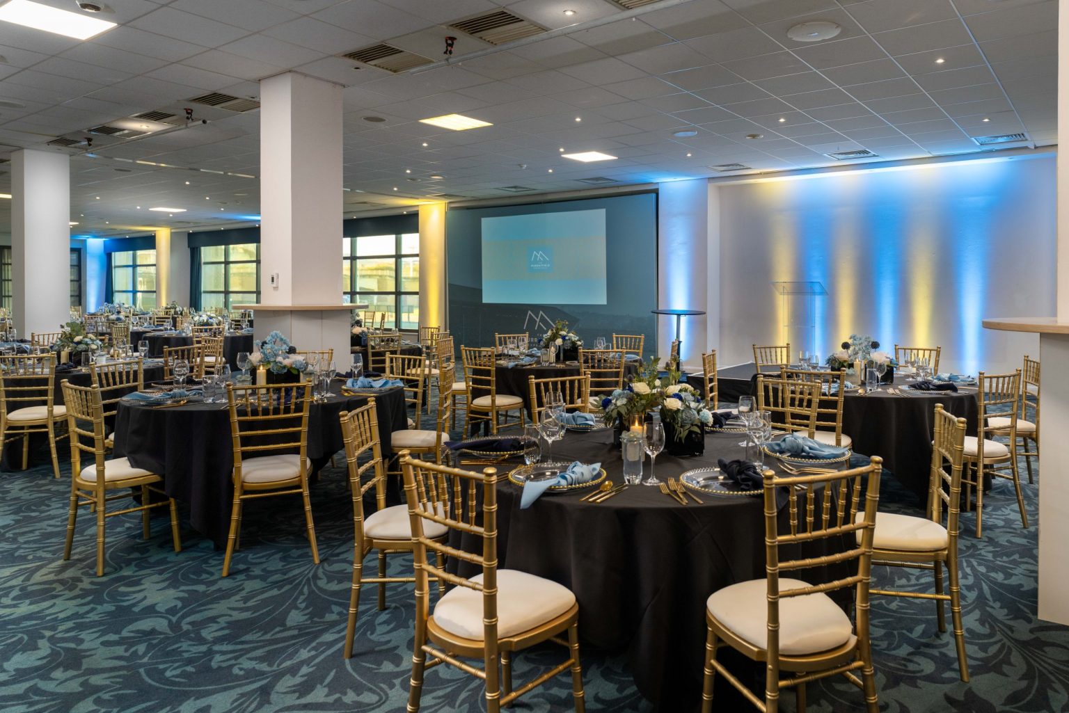 Home - Murrayfield Experience